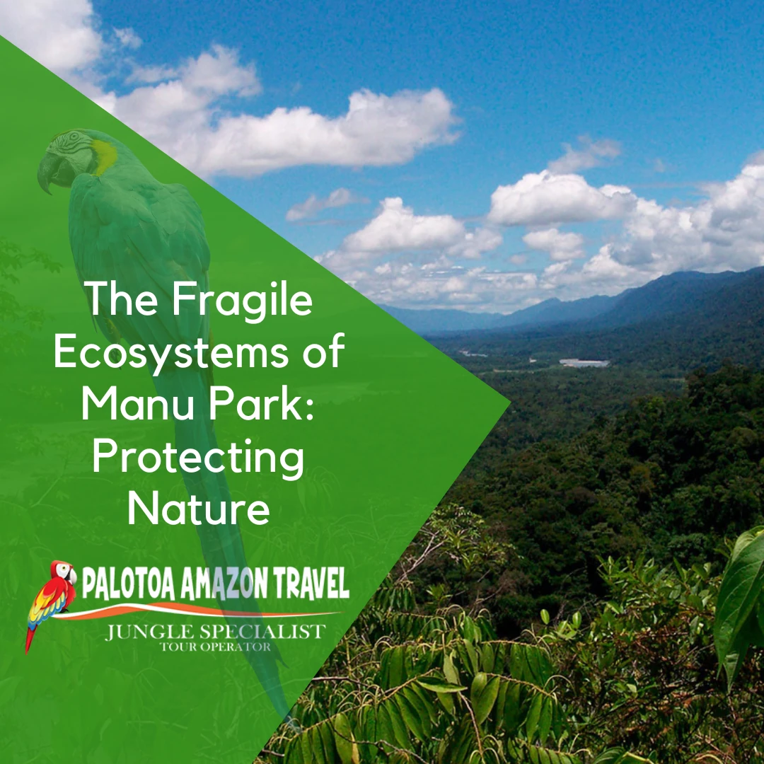 The Fragile Ecosystems of Manu Park: Protecting Nature - 2024