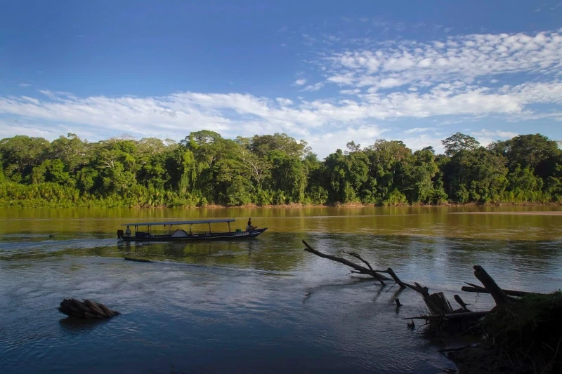 Rare Wildlife of Manu - Palotoa Amazon Travel