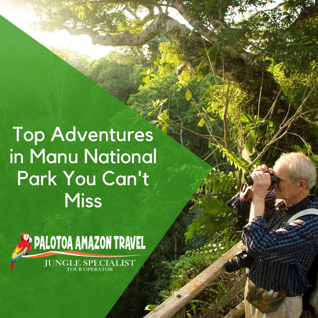 Top Adventures in Manu National Park You Can't Miss - Palotoa Amazon Travel