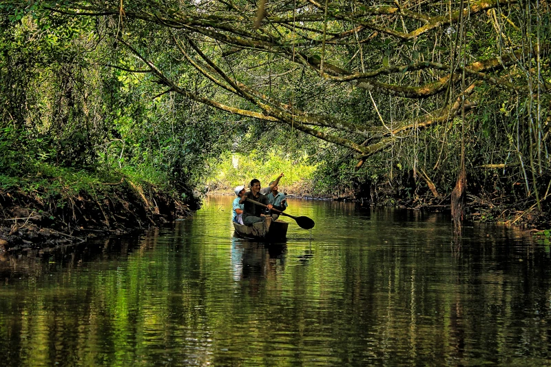Fishing in the Amazon: What You Need to Know - Palotoa Amazon Travel