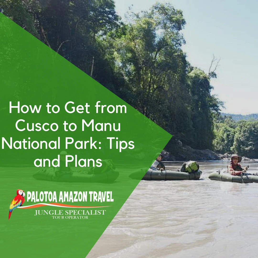 How to Get from Cusco to Manu National Park - Tips and Plans