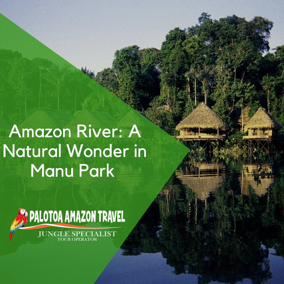 Amazon River: A Natural Wonder in Manu Park - Palotoa Amazon Travel